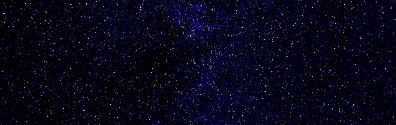 GCV Rising Stars Awards 2019: Nikola Trbovic