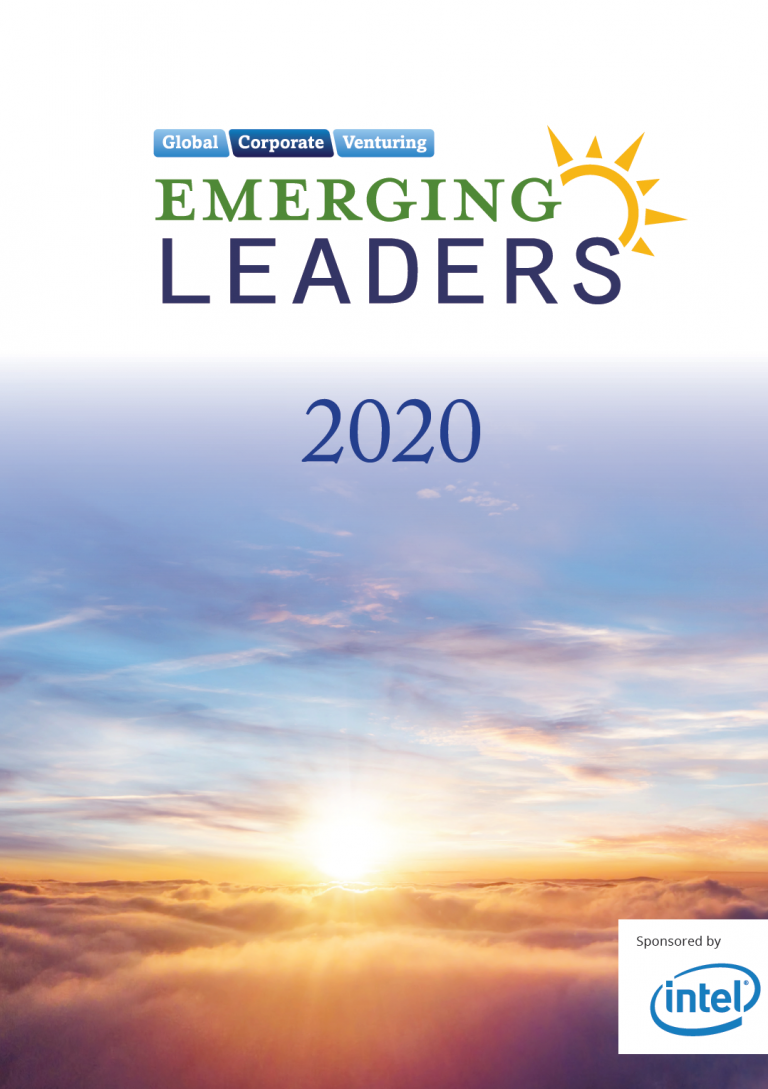 Emerging Leaders 2020 Contents
