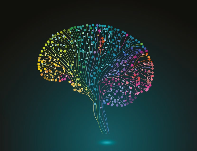 Using human brains to improve AI