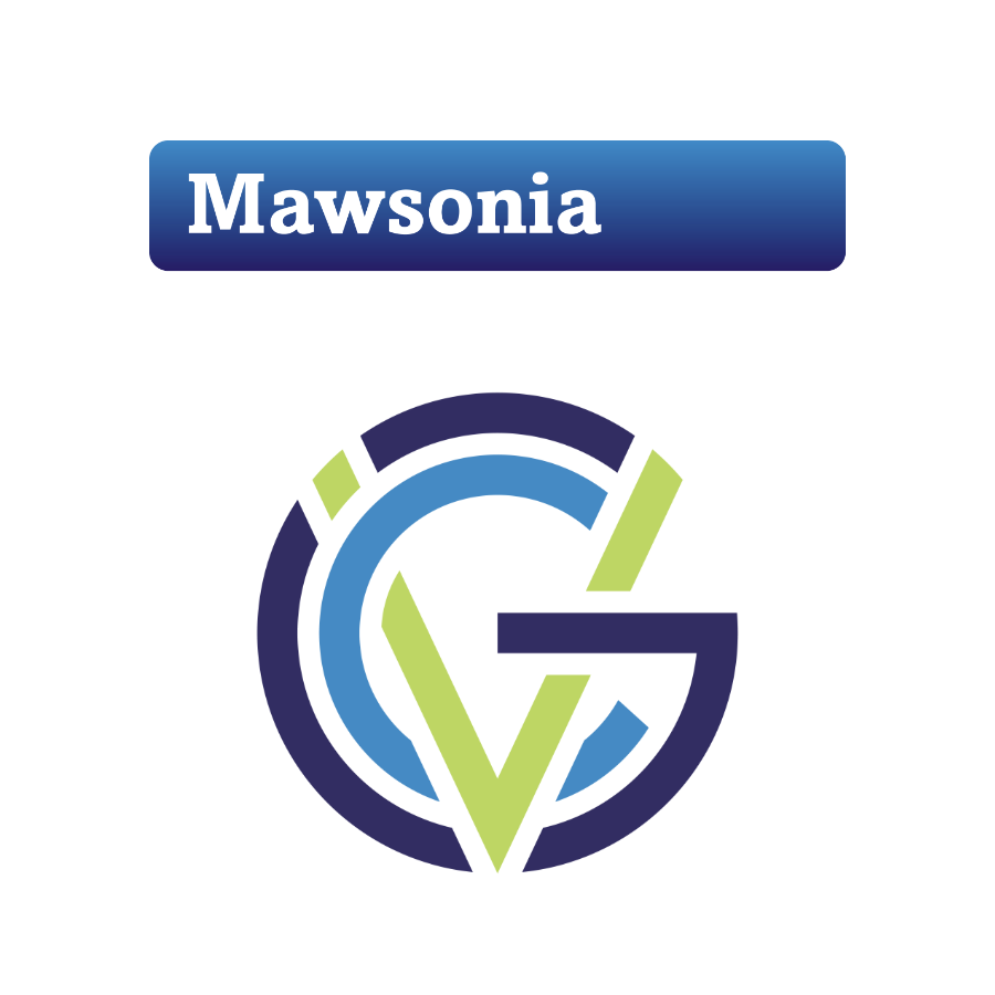 About Us | Global Corporate Venturing | Mawsonia