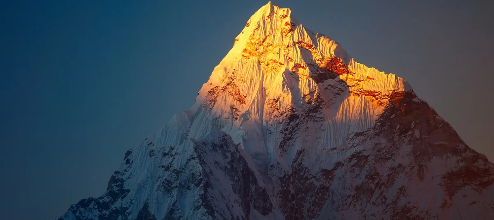 UiPath launches AI tech fund